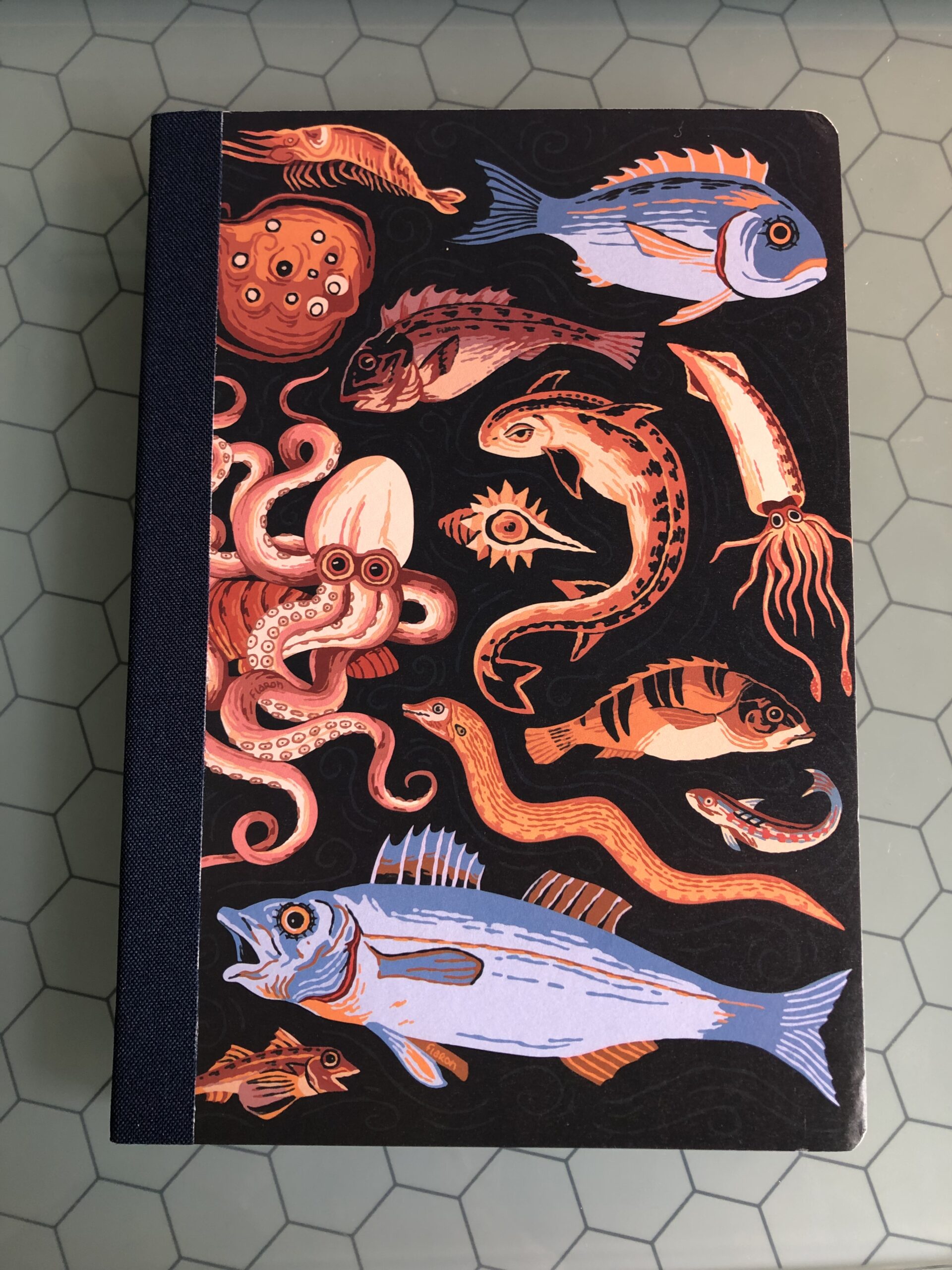 Notebook Review: Odyssey A5 Cosmo Air Light Notebook – The Well ...