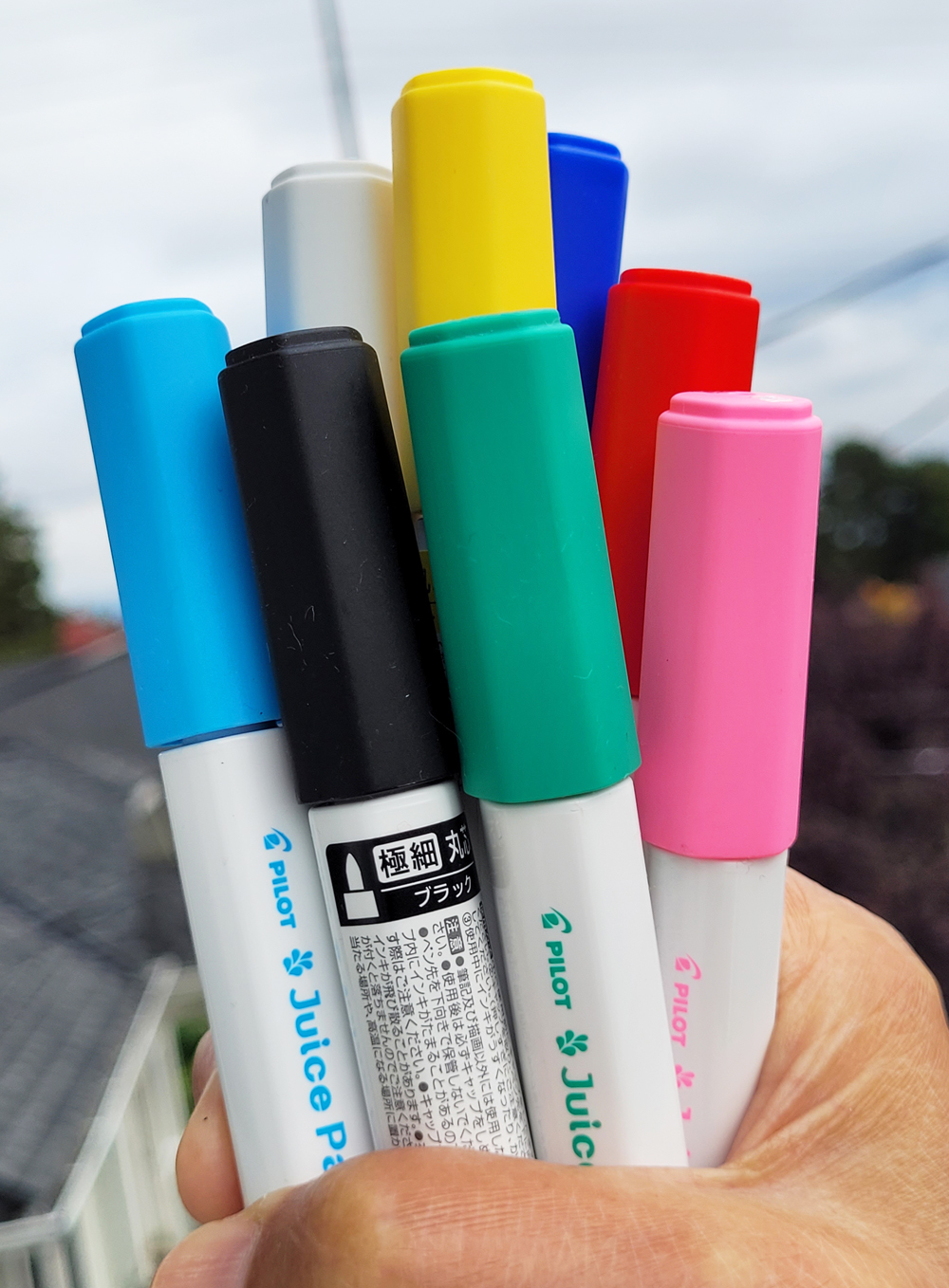 Marker Review: Pilot Juice Paint Markers (set of 8) – The Well ...